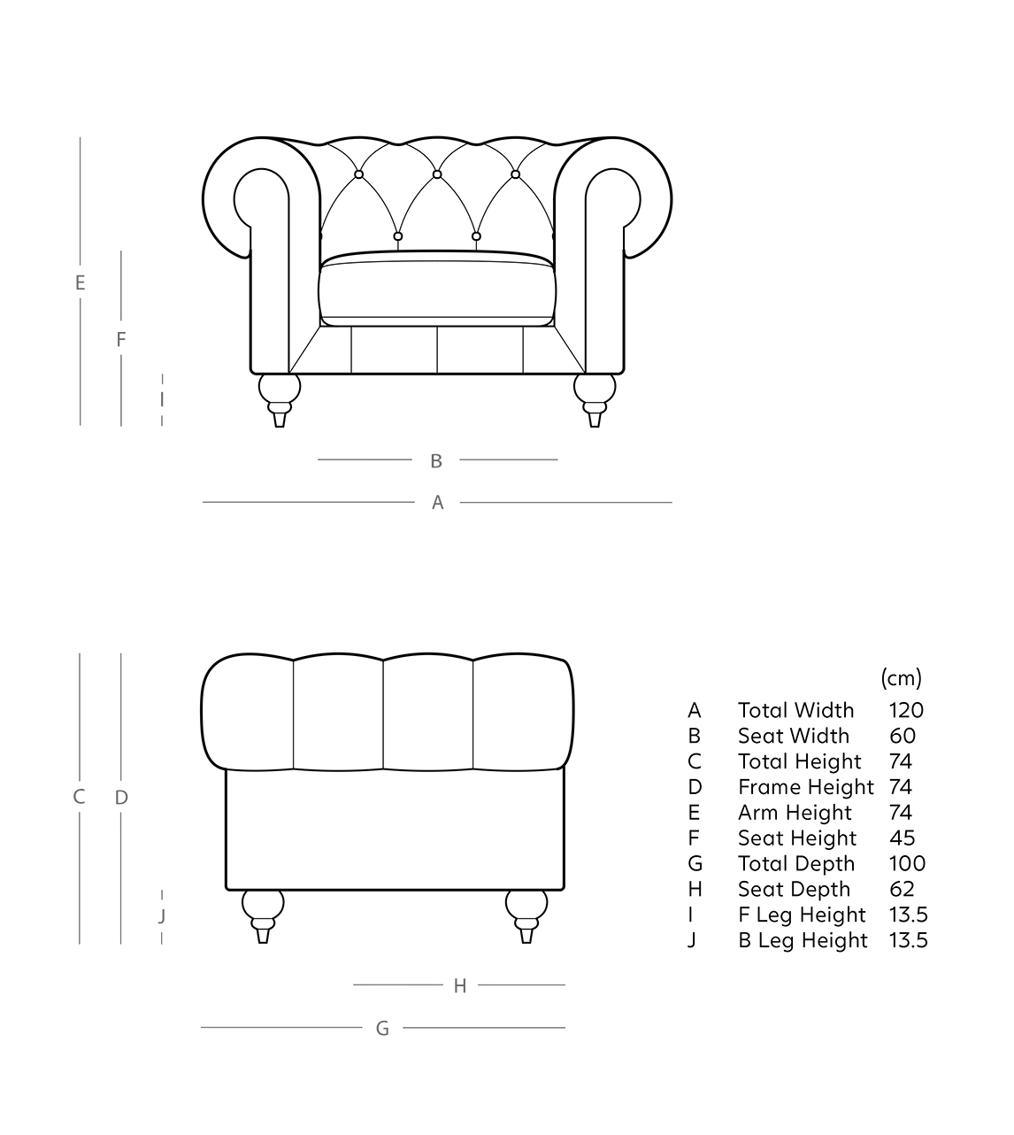 Winston Armchair | Swoon