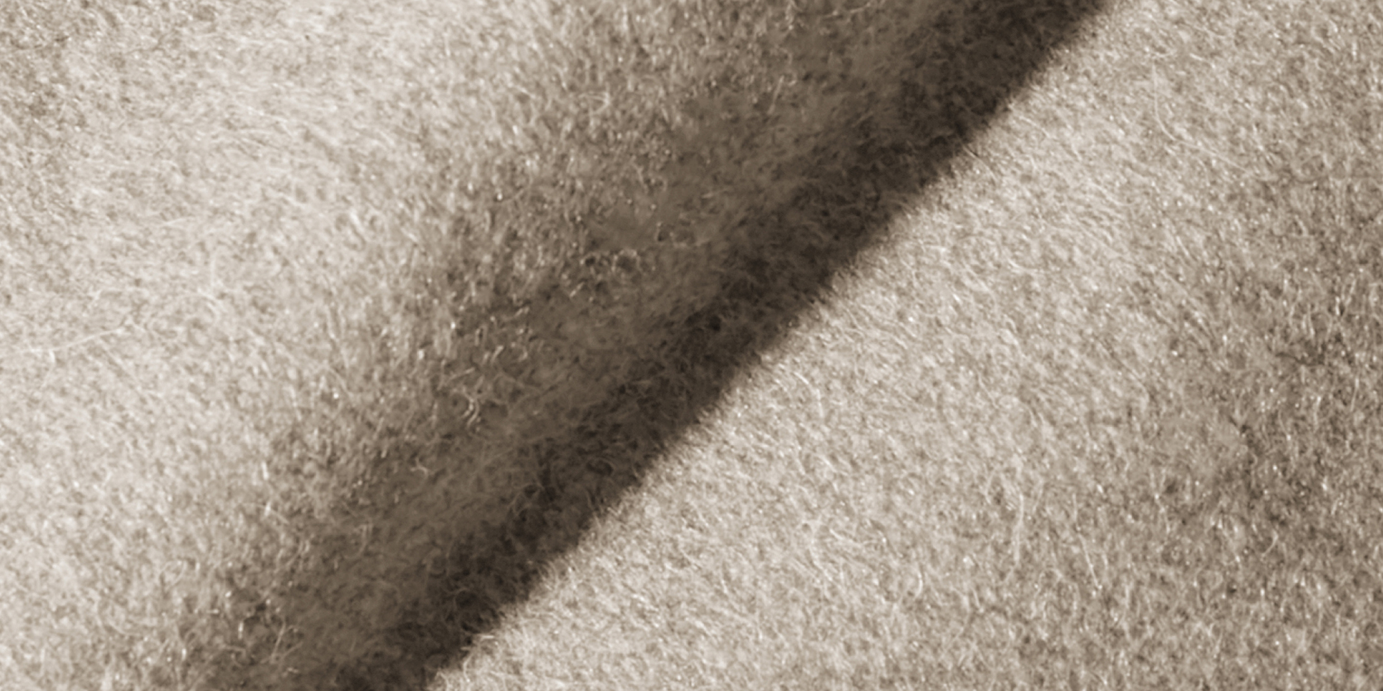 Beds | Bed Frames, Bedding & Mattresses | Swoon